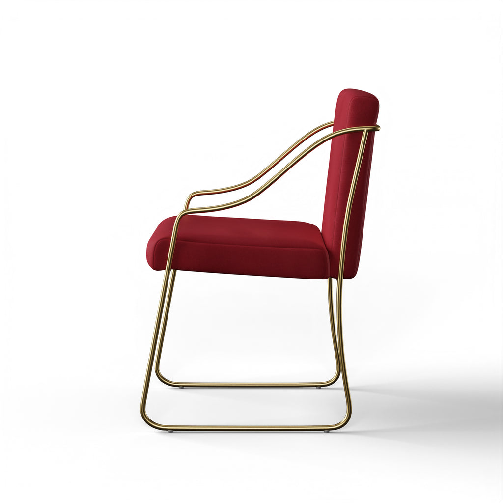 Susan Venus Dining Chair - Online Furniture Shopping for Dining Chairs ...